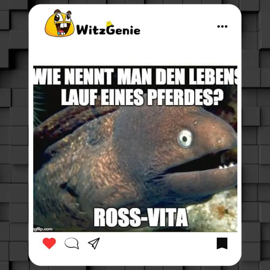 Witze zum Totlachen - WitzGenie
